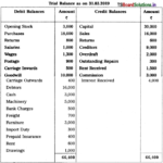 TS Inter 1st Year Accountancy Study Material Chapter 10 Preparation of ...