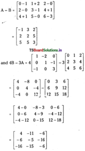 TS Inter 1st Year Maths 1A Matrices Important Questions – TS Board Solutions