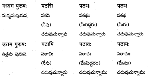 TS Inter 1st Year Sanskrit Grammar धातुरूपाणि – TS Board Solutions