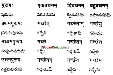 TS Inter 1st Year Sanskrit Grammar धातुरूपाणि – TS Board Solutions