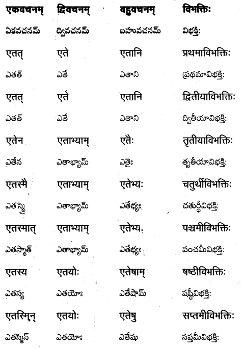 TS Inter 1st Year Sanskrit Grammar शब्दरूपाणि – TS Board Solutions