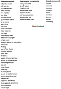 TS 10th Class English Guide Unit 3A The Journey – TS Board Solutions