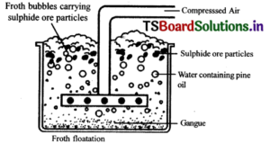 TS 10th Class Physical Science Solutions Chapter 11 Principles of ...