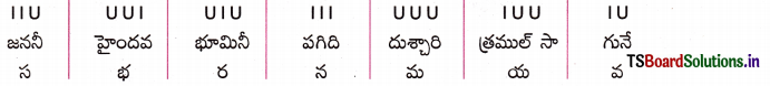 TS 10th Class Telugu Grammar Chandassu ఛందస్సు – TS Board Solutions