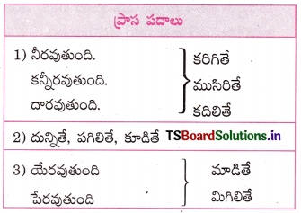 TS 10th Class Telugu Guide 9th Lesson జీవనభాష్యం – TS Board Solutions