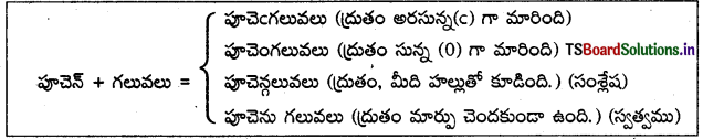 TS 9th Class Telugu Guide 5th Lesson శతక మధురిమ – TS Board Solutions
