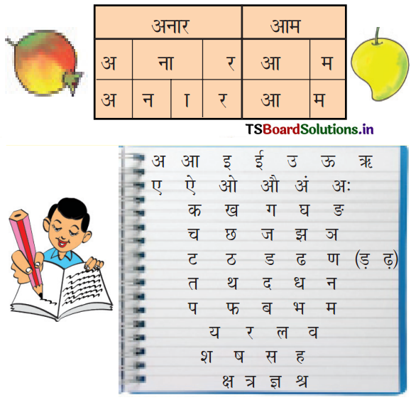 TS 6th Class Hindi Guide 1st Lesson आम ले लो आम! – TS Board Solutions