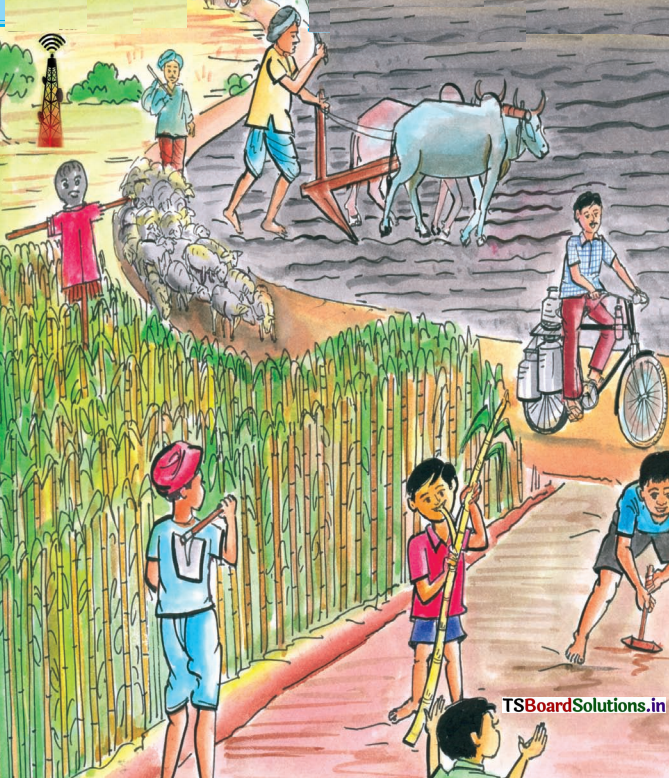 TS 6th Class Hindi Guide 2nd Lesson हमारा गाँव – TS Board Solutions