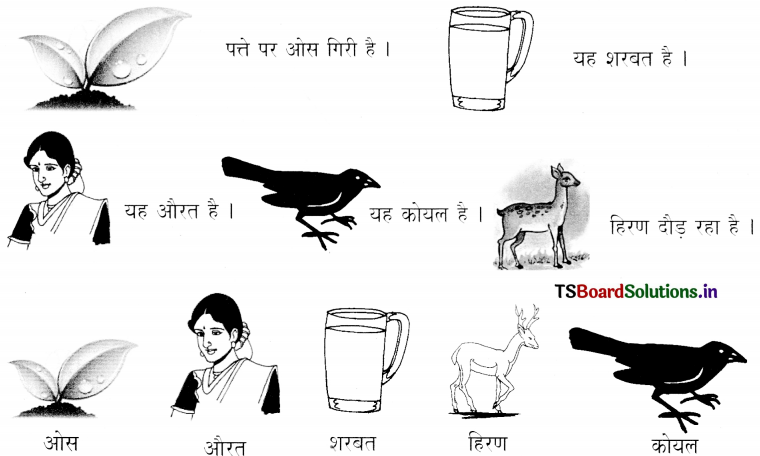 TS 6th Class Hindi Guide 6th Lesson चिड़ियाघर – TS Board Solutions