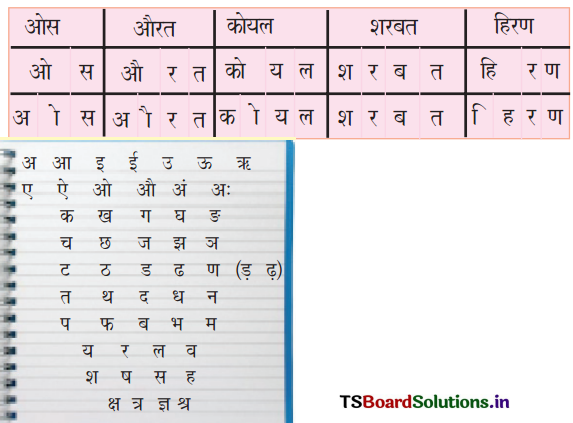 TS 6th Class Hindi Guide 6th Lesson चिड़ियाघर – TS Board Solutions