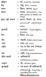 TS 8th Class Hindi Guide 7th Lesson त्यौहारों का देश – TS Board Solutions